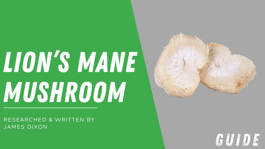 BDNF Supplements 2023 - Brain-Derived Neurotrophic Factor