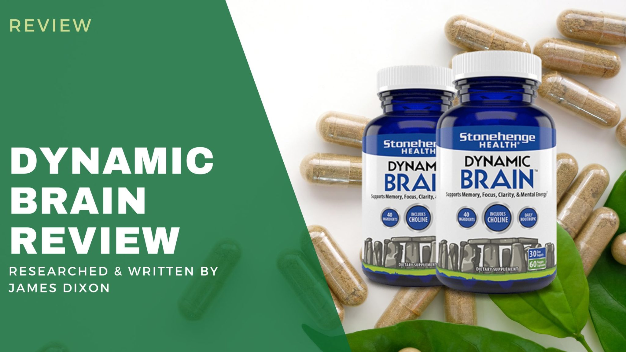 Dynamic Brain Review 2024 - Is It Worth The Investment?